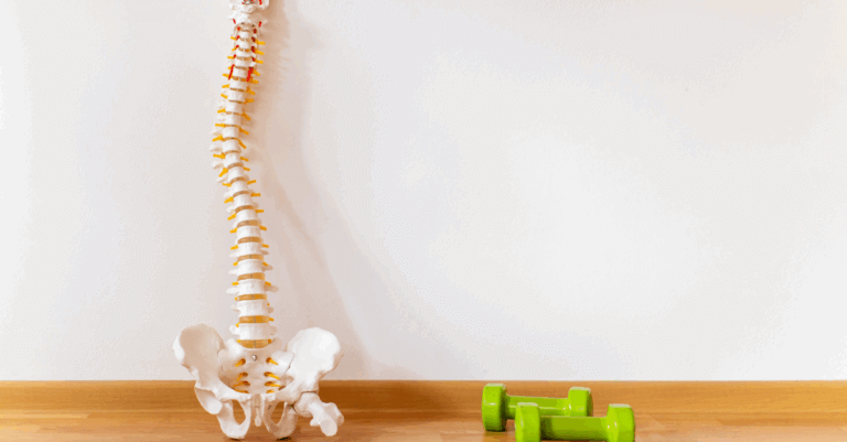 A Guide to Keeping Your Spine Healthy - Life Force Physiotherapy